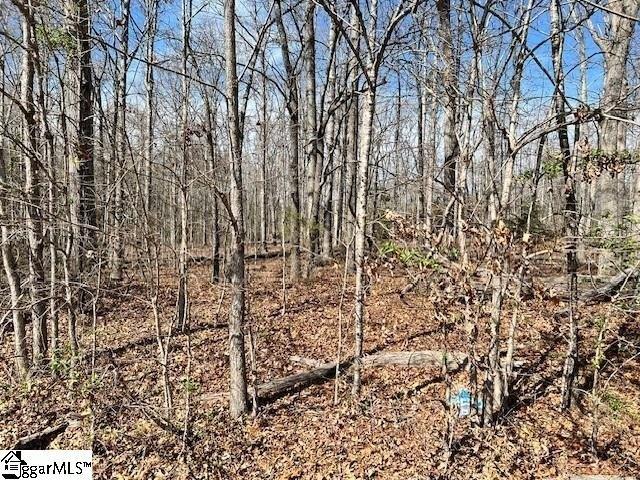 129 Katora Ln, Pelzer, SC 29669