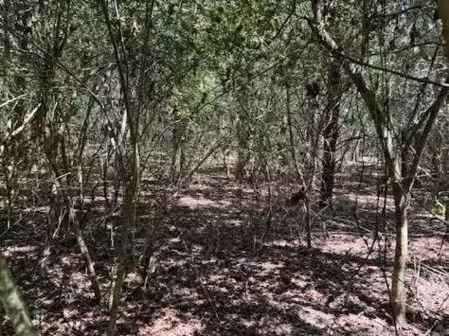 129 Helemano Dr, Bastrop, TX 78602 MLS 8384235