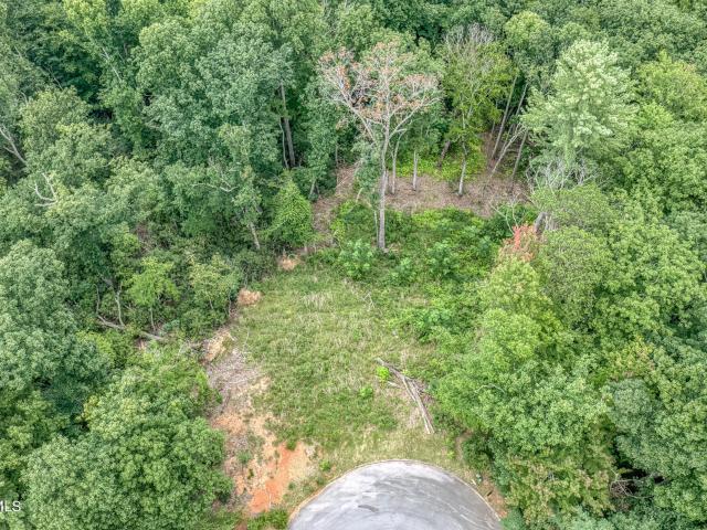 129 Mountain Laurel Court