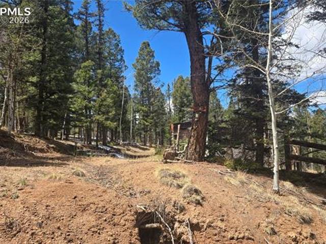 129 Mt Elbert Road
