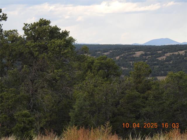 129 Tierra de Dios
