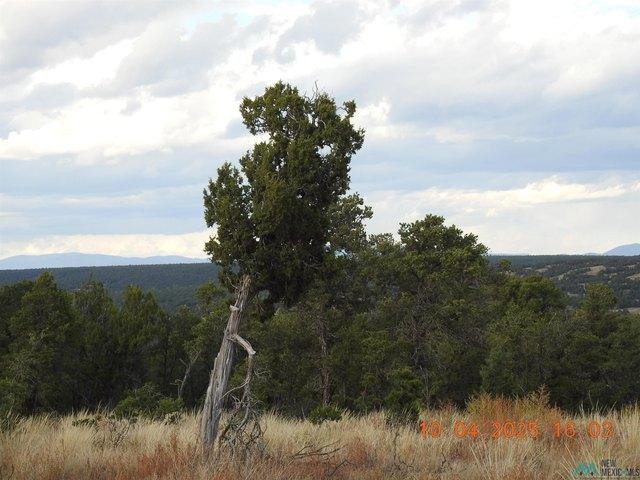 129 Tierra De Dios, Rowe, NM 87562