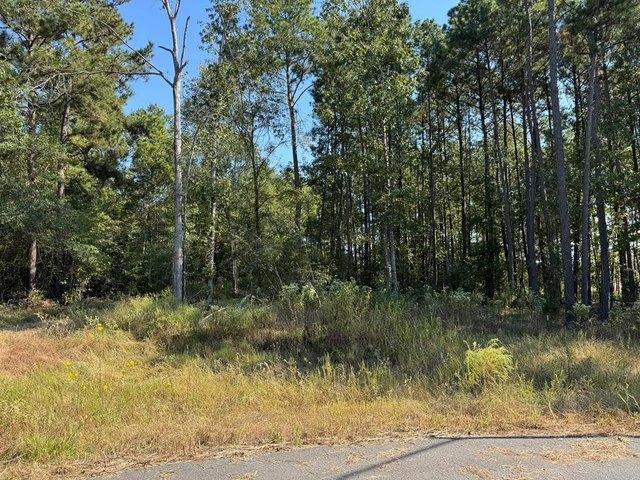 129 Yaupon Ct, Lufkin, TX 75904