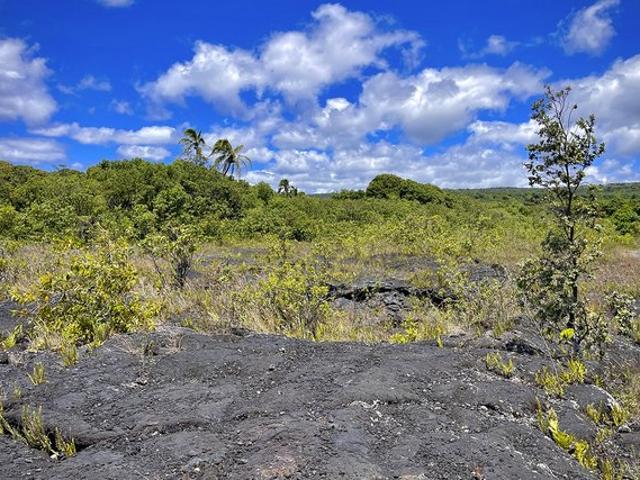 12 4786 Kaimu Chain of Craters Rd, Pahoa, HI 96778