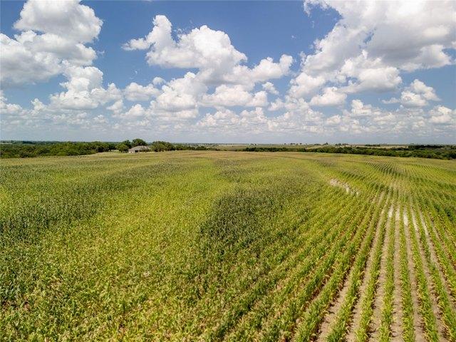 12.54 Acres | Tract 3 County Road 3307, Hubbard, TX 76648