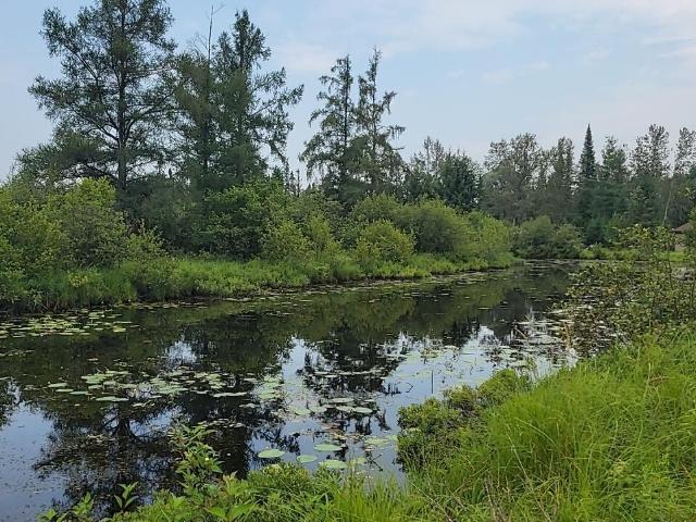 12.55 Acres Juniper Way