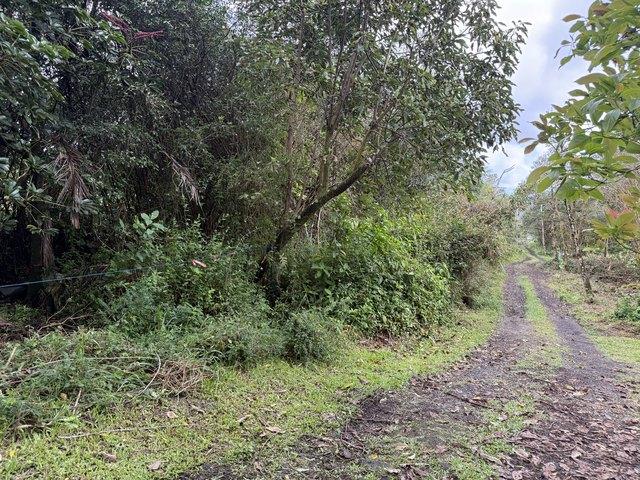 12 566 Hawaii St, Pahoa, HI 96778