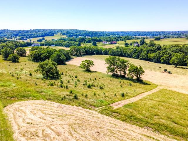 12.609 Acres Owenton Road