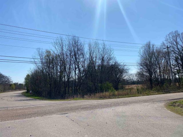 12.79 ac Wirt Rd, Oakland, TN 38060 | MLS #10219