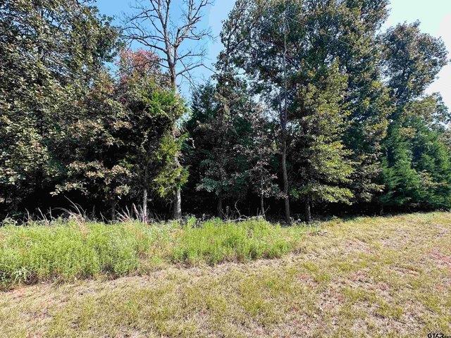 12 14 N Pedernales, Athens, TX 75752