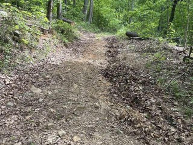 12 Acre Cottonville Rd, Grant, AL 35747