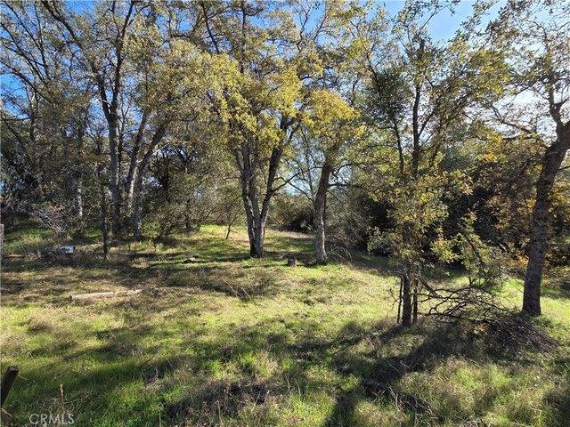 12.19 Ac Rd # 222, North Fork, CA 93643