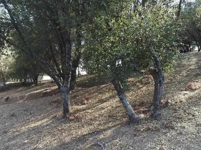 12 238 Hillcroft Dr, Groveland, CA 95321 | MLS #20241