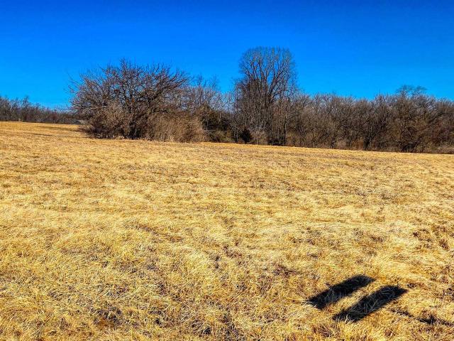 12 251R Spring Creek Drive