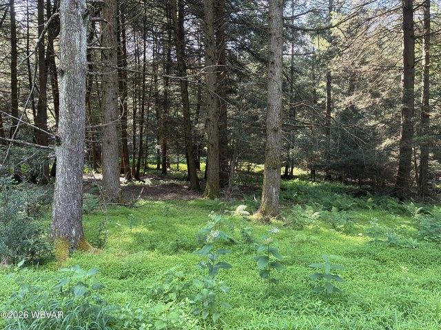12 25 Queens Run Rd, Lock Haven, PA 17745