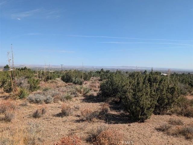 12 Tamarack, Pinon Hills, CA 92372