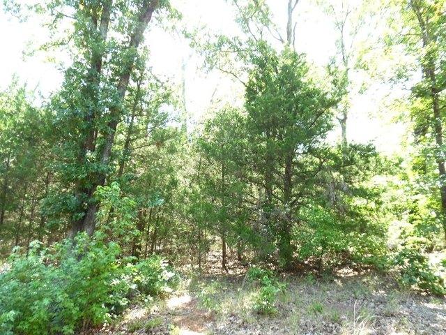 12 Tbd Deer Path, Murchison, TX 75778