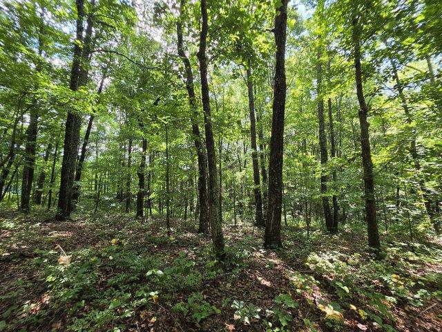 12 Valley View Dr, Altamont, TN 37301