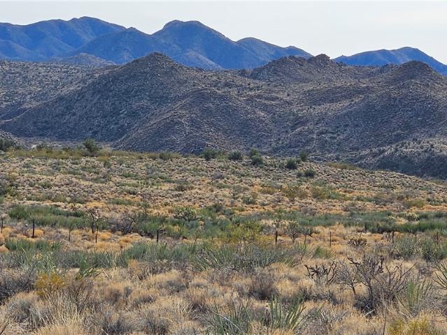 12 xx0 S Silverado Pkwy, Kingman, AZ 86401 | MLS #037668 | Compass