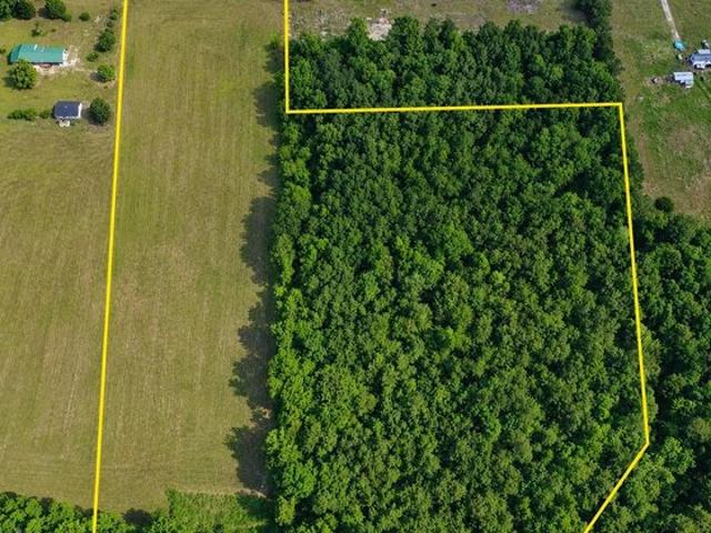 12 Ac Trinity Church Rd, Magnolia, NC 28453