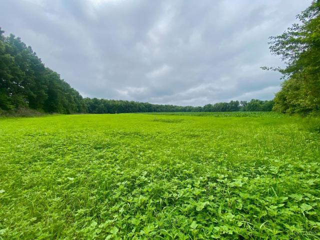 12 ac Ward Koebel Road