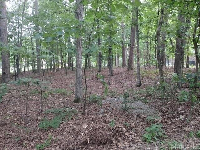 12 Acceso Cir, Hot Springs Village, AR 71909