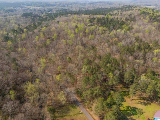 12 acres allison lane # 0