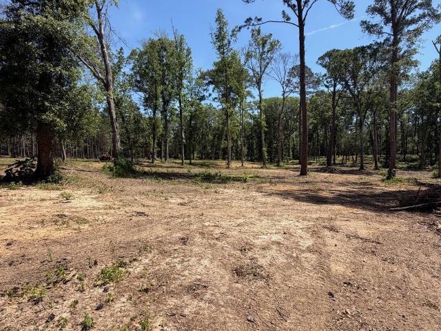 12 ACRES Collins road