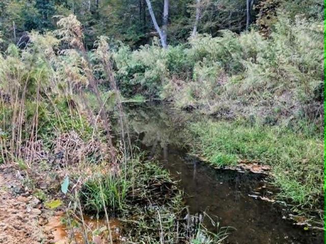 12 acres County Line Rd, Rutherfordton, NC 28139 | MLS #4349 | Compass
