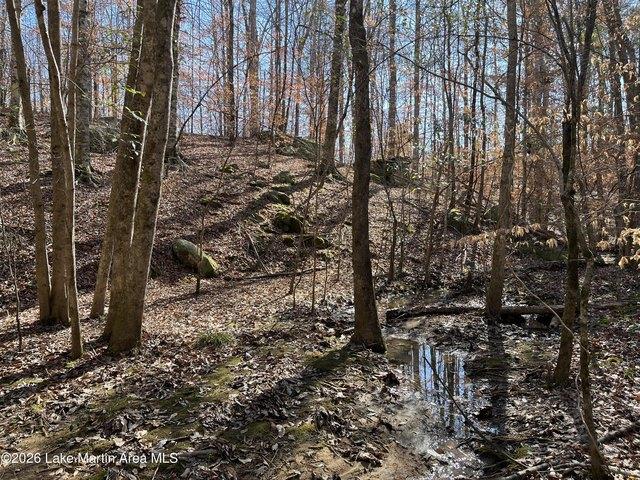 12 Acres Greenwood Rd, Alexander City, AL 35089