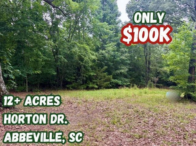 12 Acres Horton Dr, Abbeville, SC 29620