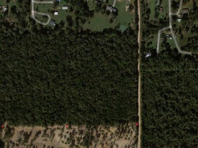 12 Acres off W Relza Rd, Splendora, TX 77372