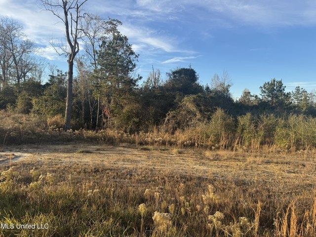 Tract 2 Parker Rd, McHenry, MS 39561