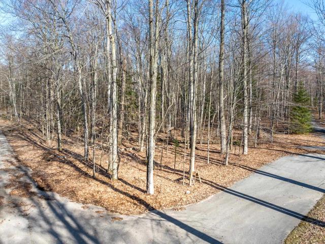 12 Aspen Trail