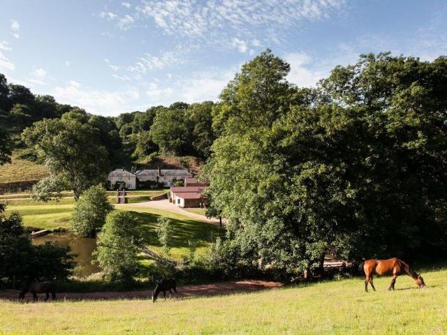 12 bedroom equestrian facility for sale