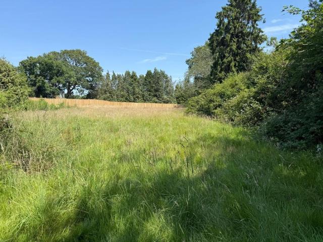 12 bedroom property with land for sale