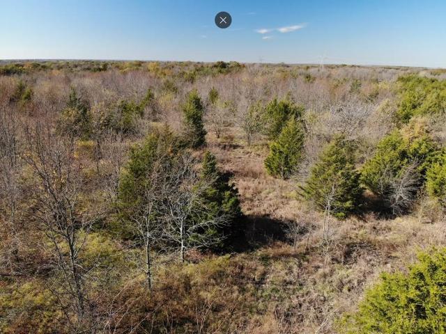 12 County Road 2951, Dodd City, TX 75438 | MLS #21209