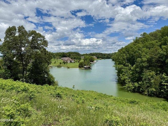 12 Ferry Hill Rd, Dandridge, TN 37725