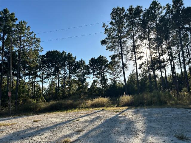 12 Fm 230, Trinity, TX 75862 | MLS #27228