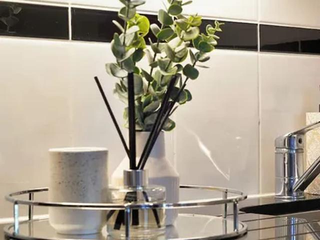 12 Hertford St | Studio apartment for rent #166623708 | Rentberry