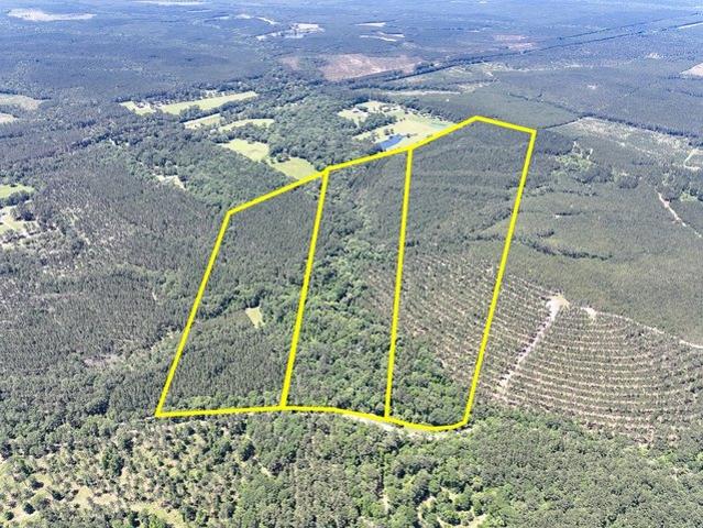 12 Howell Rd, Corrigan, TX 77352