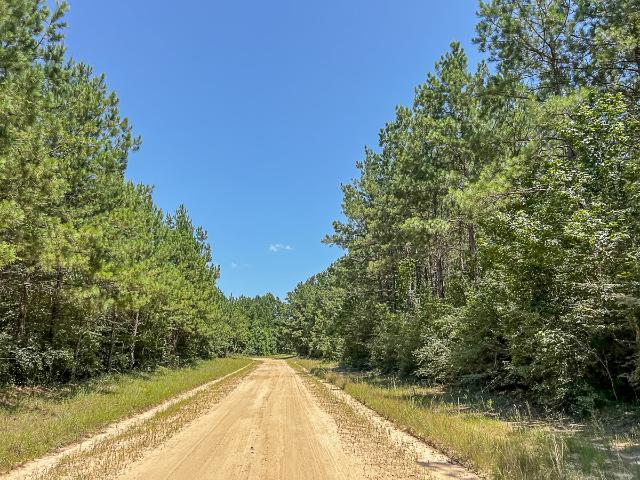 12 Joskey Dykes Rd, Huntington, TX 75949 | MLS #92107