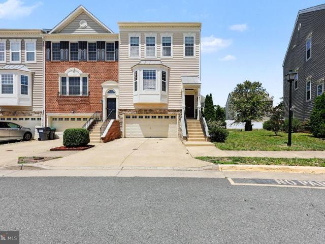 12 Lamplighter Lane