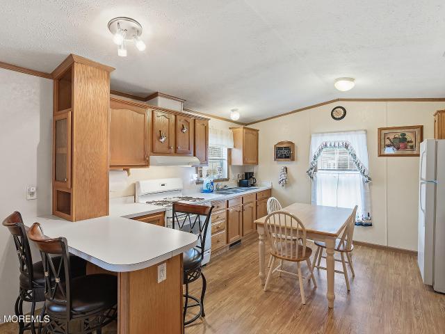 12 Lace Bark Lane