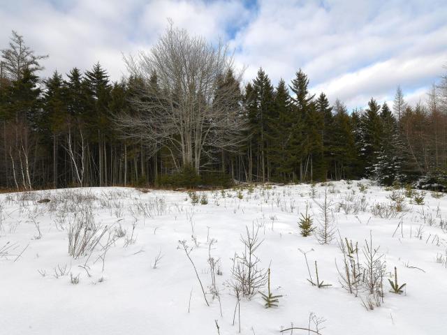 12 Lindsay's Road, Deer Isle, US, ME
