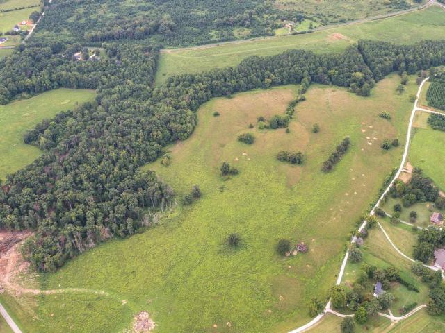 12 LOT Blue Ridge Drive