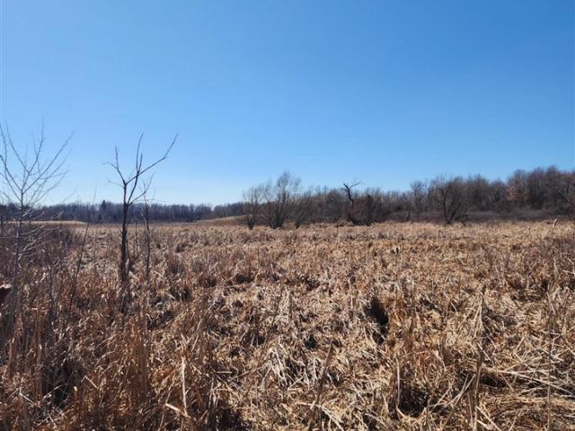 12 Mile Road
