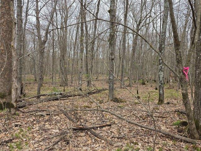12 N Olson Rd, Hayward, WI 54843