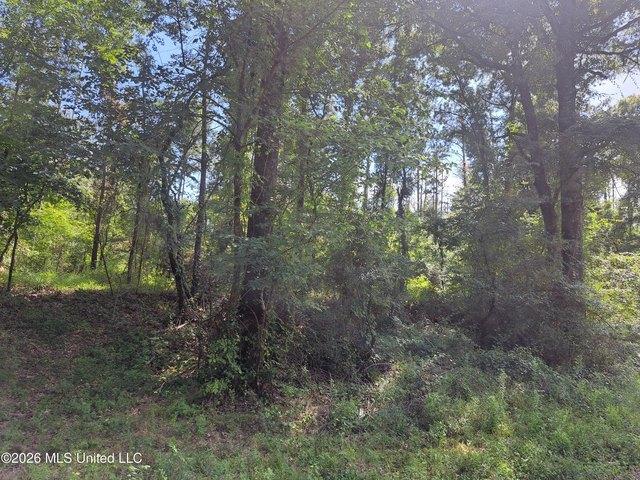12 Oaks Trce, Canton, MS 39046