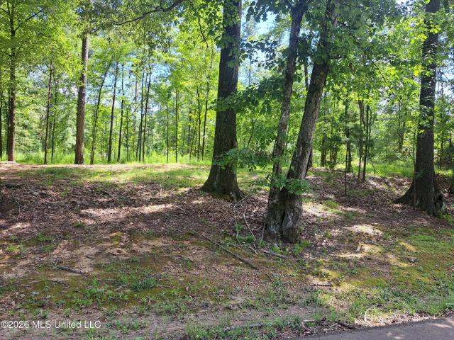 12 Oaks Trace, Canton, MS 39046